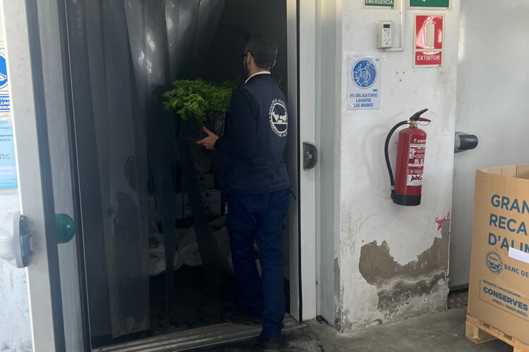El Proyecto de Huertos Urbanos de la Cámara entrega sus primeras ...